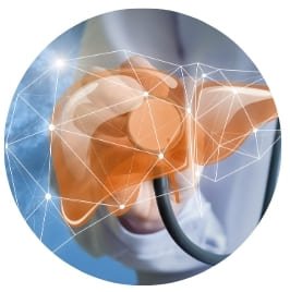 Best Health Checkup Packages in Sharjah | Shifa Al Jazeera Clinic